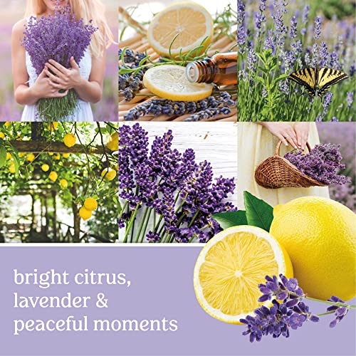 Yankee Candle Lemon Lavender Scented, Classic 22oz Large Tumbler 2-Wick Candle, Over 75 Hours of Burn Time