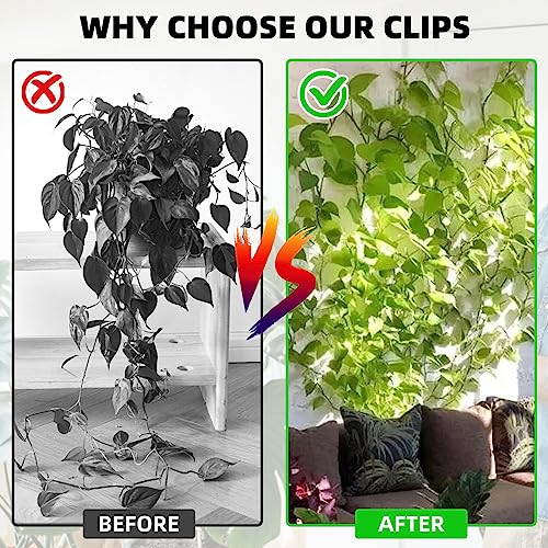 FIFNIM 30PCS Plant Clips for Climbing Plants,Plant Wall Clips for Vines Hanging Plant Tools Wall Fixture Clip Leaf-Shaped Self-Adhesive Plant Fixer,Home Decor