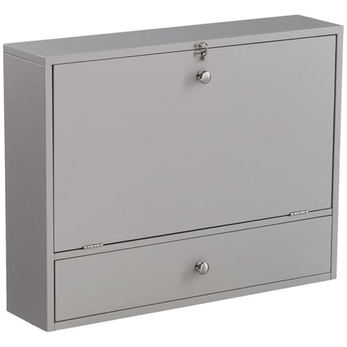 SEI Furniture Benwick Wall Mount Laptop Desk, Gray
