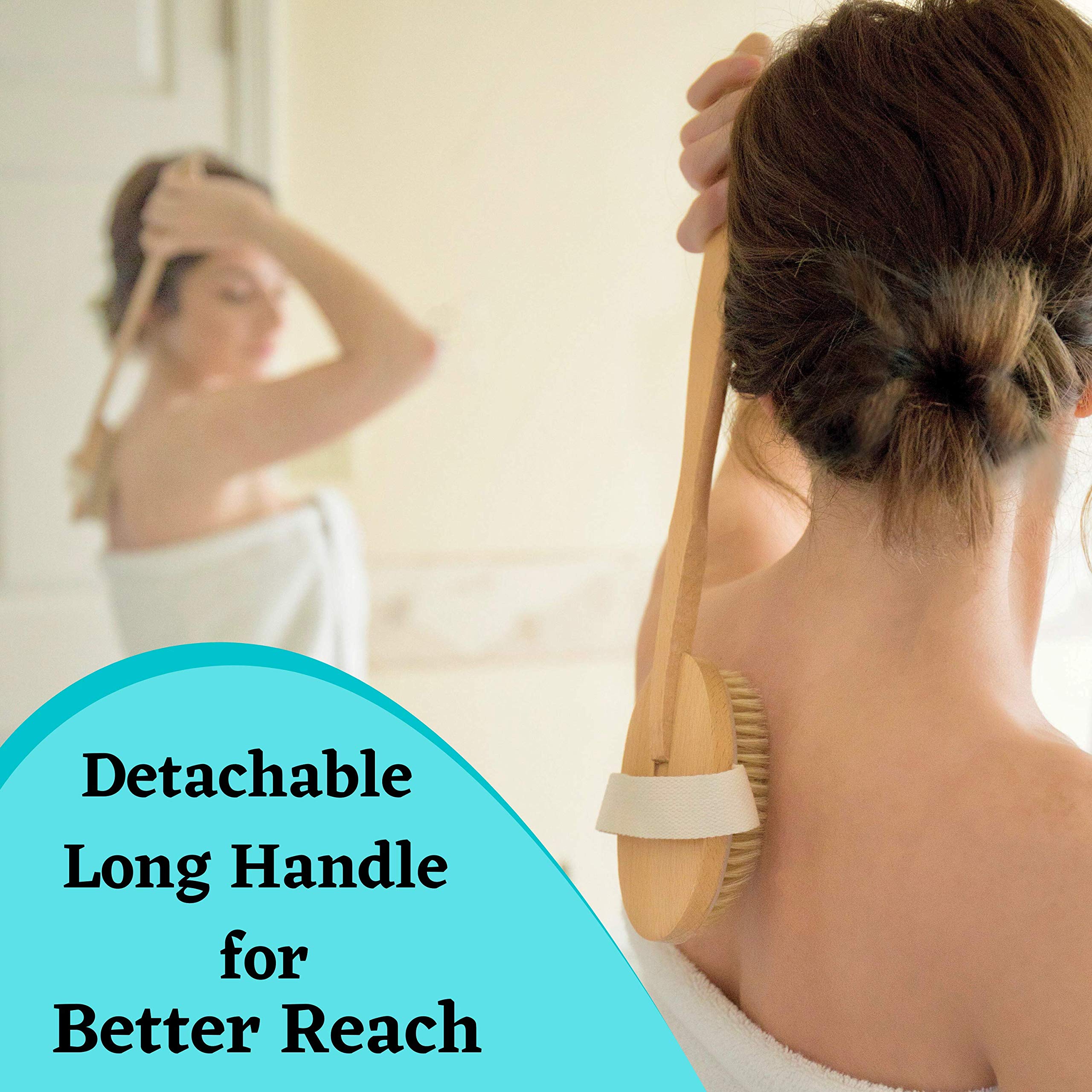 Dry Brushing Body Brush Set for Cellulite & Lymphatic Drainage and Exfoliating Dry Skin -- Premium 100% Natural Boar Bristle Body Brush Set