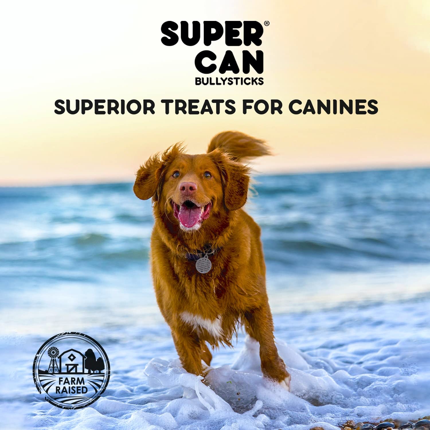 SUPER CAN BULLYSTICKS Pork Lung Bites Dog Treats (12oz) | 100% Natural Chews | High in Vitamin B6, B12, C, Iron, Copper & Zinc | Training Treats for Small Dogs