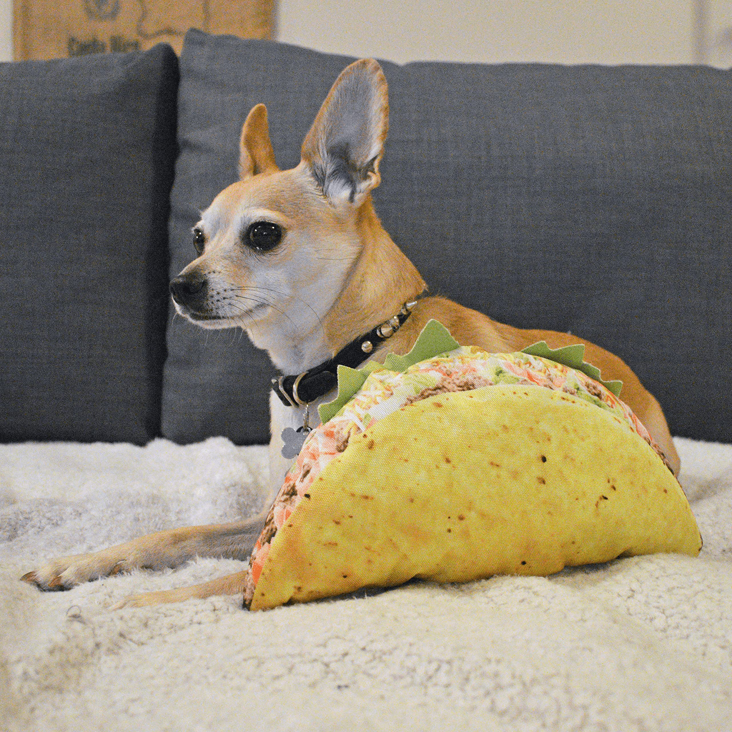 Doggijuana | Refillable Catnip Dog Toy | Naturally Calming | Catnip Grown in The USA (Taco)
