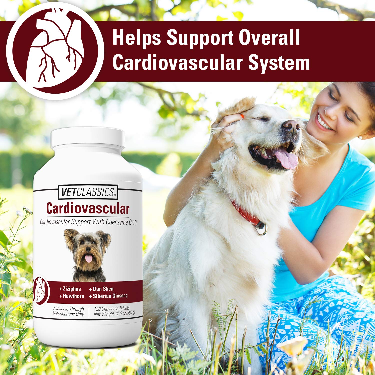 Vet Classics Cardiovascular Support with Coenzyme Q-10 for Dogs, Supports Cardiovascular System with Ziziphus, Dan Shen, Hawthorn, & Siberian Ginseng, 120 Chewable Tablets