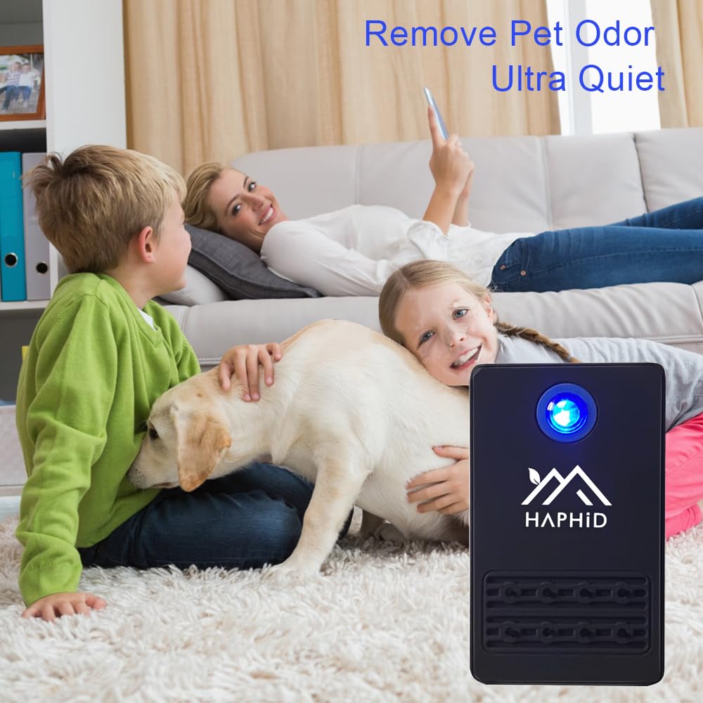 HAPHID Ionizer Air Purifier/Plug in Air Purifier with Highest Output - Up to 40 Million Anions,Filterless Ion Air Purifier for Home&Office Purify:Odors,Pets Smell Etc(1-Pack), Black, AP08B1
