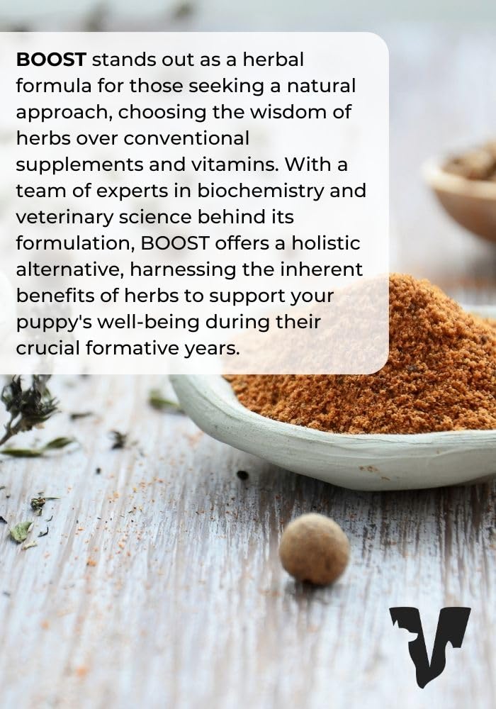 VetVittles Boost for Puppies - Natural Formative Years Support - Stimulates Growth, Strengthens Immunity, Increases Energy, and Promotes Appetite - 90 Soft Chews