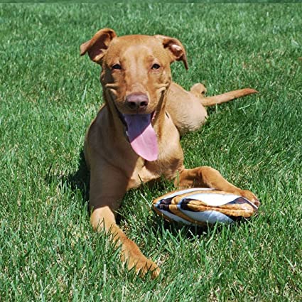 Doggijuana Get Outside Squirrel / Refillable Catnip Dog Toy / Juananip⢠Refill Bottle / Promotes Play and Helps Your Dog Chill