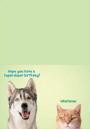 RSVP Happy Huskie and Grumpy Cat Funny/Humorous Dog and Cat Birthday Card