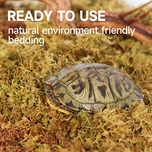 LUVCOSY Reptile Coconut Fiber Substrate & Forest Moss Combo Clean Bedding Accessories for Bearded Dragon/Snake/Lizard/Gecko/Tortoise, Tarantula Terrarium Tank Humidity Control and Odor Absorbent