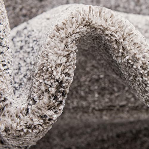 Rugs.com Angelica Collection Rug β 9' x 12' Light Gray Medium Rug Perfect for Living Rooms, Large Dining Rooms, Open Floorplans