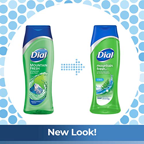 Dial Body Wash, Mountain Fresh with All Day Freshness, 16 Fluid Ounces (Pack of 3)