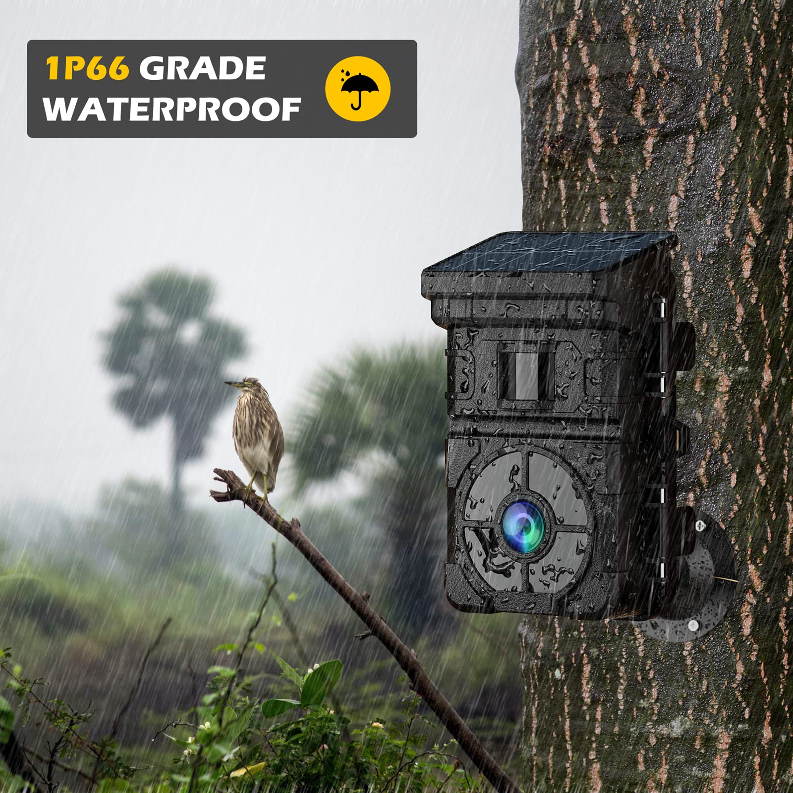 HELMOP Solar Trail Camera,1080P 24MP Solar Power Trail Camera with 32GB Micro SD Card, 0.1S Trigger Speed IP66 Waterproof Hunting Game Camera with Night Vision for Wildlife Observation Hunting