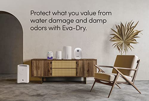 Eva-Dry Air Dehumidifier for Home – Portable Dehumidifier for Small & Medium Spaces Up to 2,500 Cubic Ft. – Quiet Dehumidifier for Basements, RVs, Bathrooms, Laundry Rooms, Campers, Bedrooms, & More