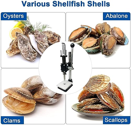 Winb Oyster Opener Machine with plate and seafood Knife sets, Oyster Shucker Tool Set for Restaurant, Hotel, Supermarket, Seafood Stores