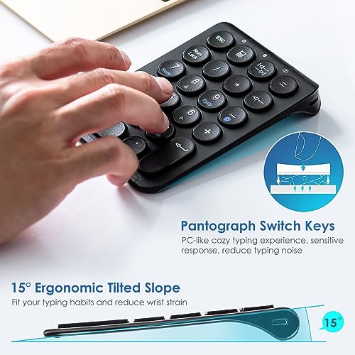 SANWA Bluetooth Numeric Keypad, Rechargeable Wireless Ten Key Number Pad, 22-Key Portable & Slim Financial Accounting Numpad for Laptop Computer, Compatible with MacBook, Windows, Android, iOS, Black