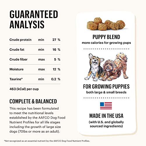 The Honest Kitchen Whole Food Clusters Puppy Grain Free Chicken Dry Dog Food, 1 lb Bag