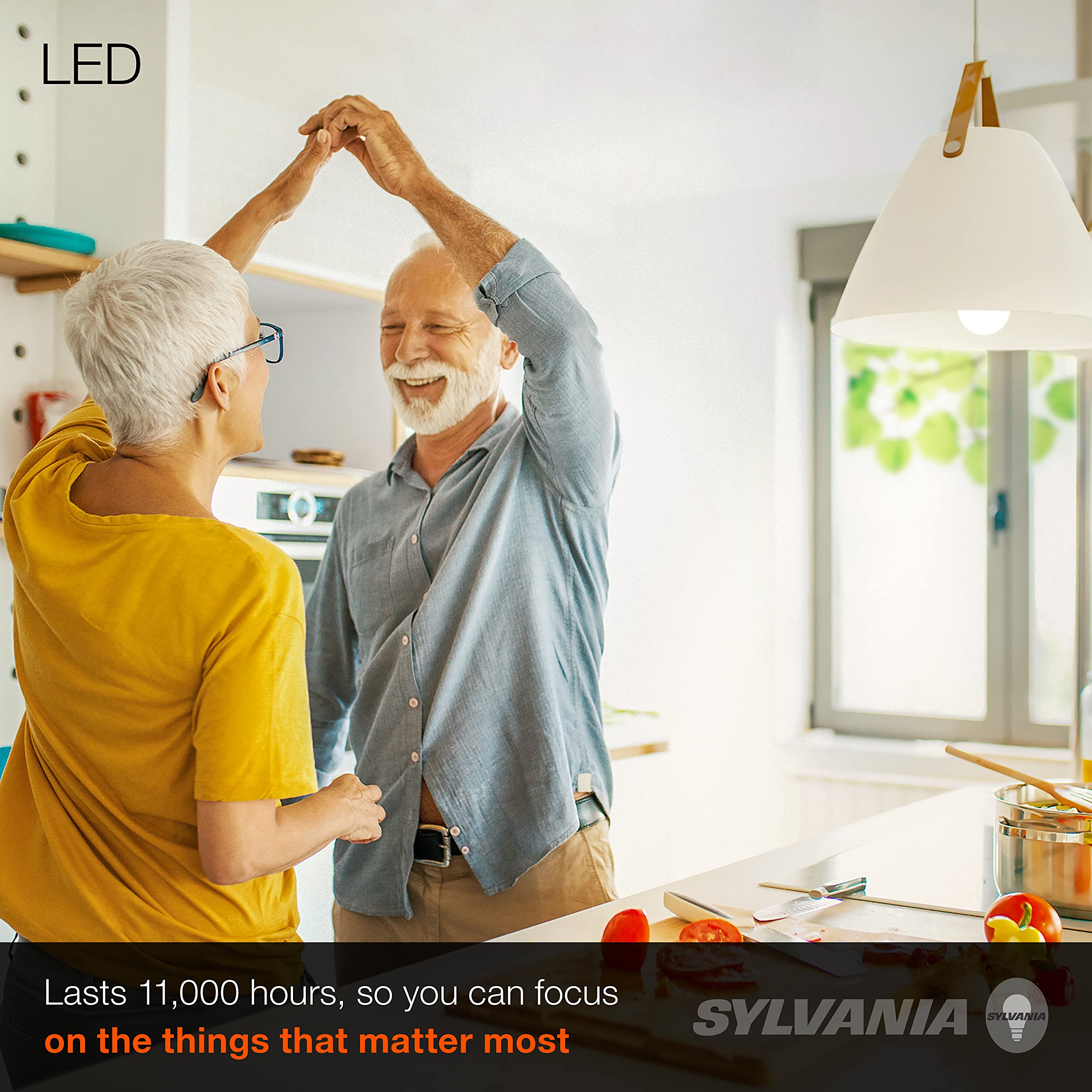 SYLVANIA LED Light Bulb, 40W Equivalent A19, Efficient 6W, Medium Base, Frosted Finish, 450 Lumens, Soft White - 2 Pack (74077)