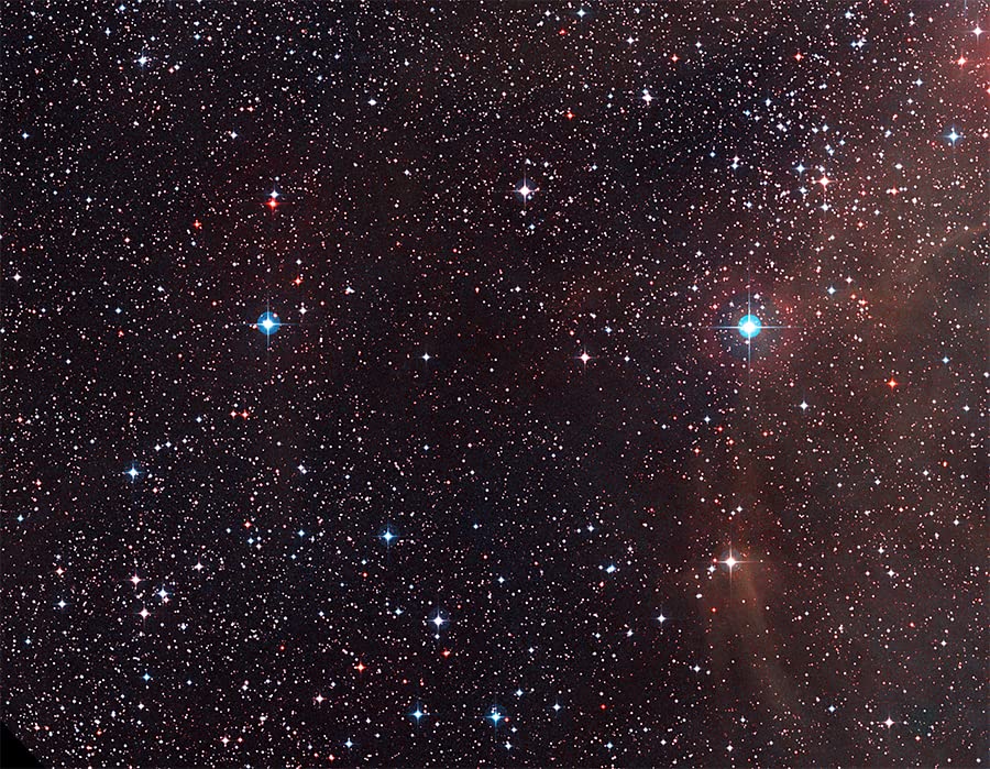HS-46 Segull Nebula Star disc for The Homestar Flux