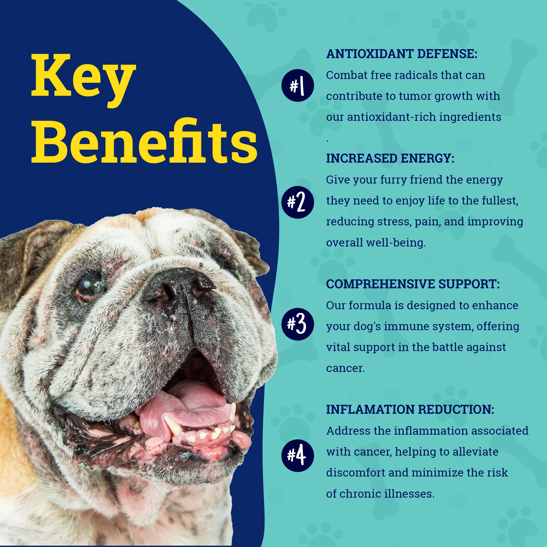 PetHeal Cancer Care - Advanced Support for Dogs with Cancer - Mushroom-Based Formula - APRX. 55 Chews - Peanut Butter Flavor