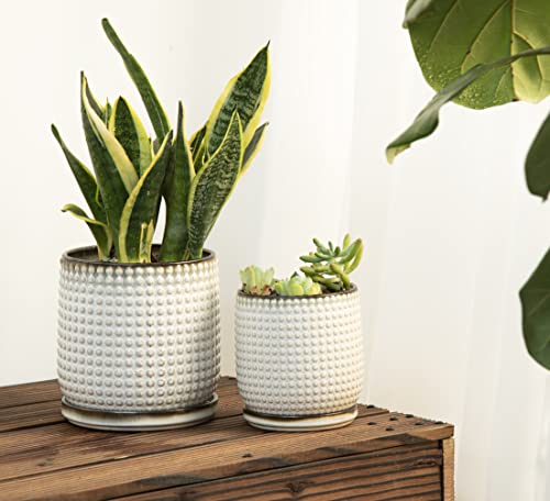 Set of 2, 6 Inch & 4 Inch Ceramic Indoor Planter Pots with Drainage Hole and Saucer, Beaded Design Flower Pots, Smoked White, 27-H-B-SW-ZS