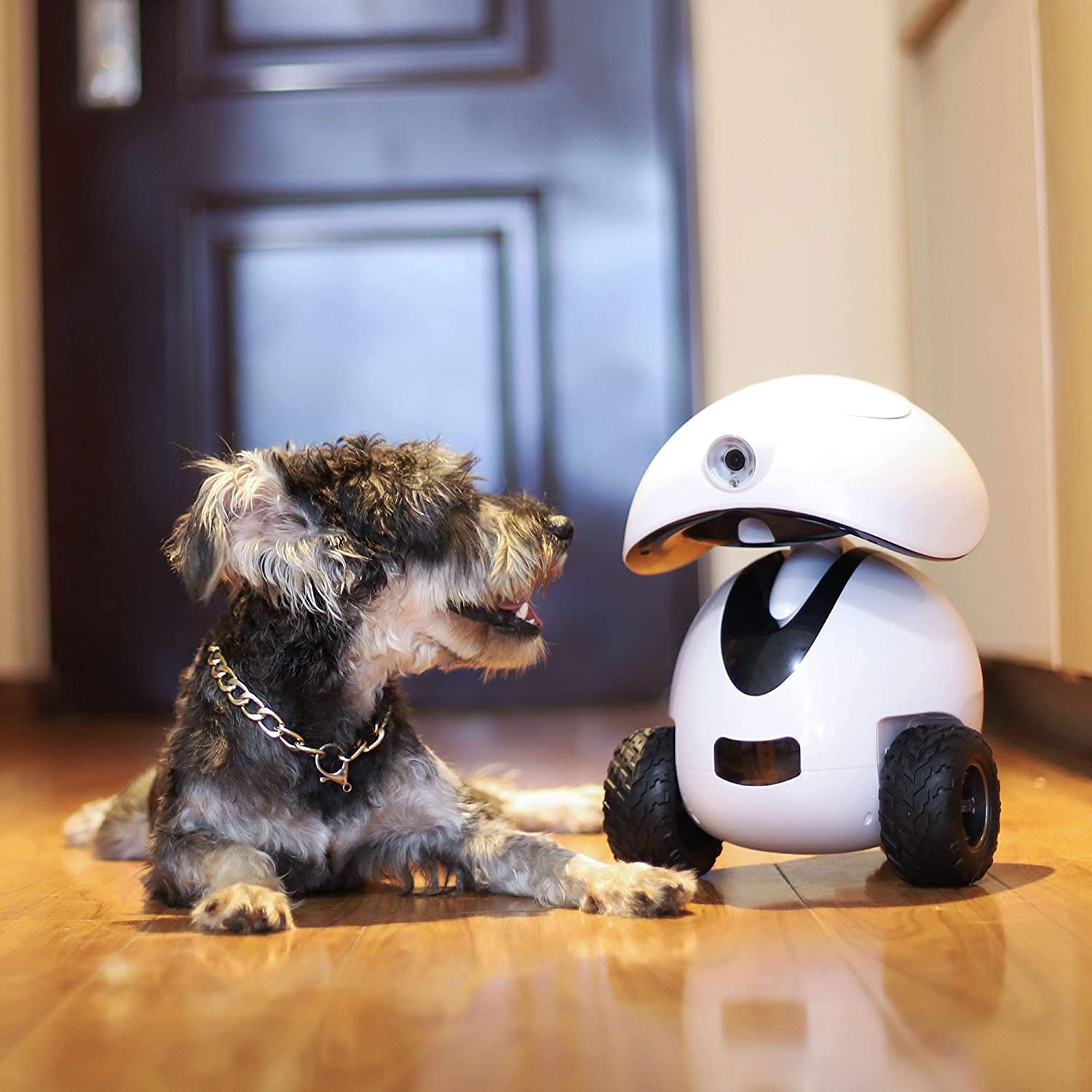 DOGNESS Pet Robot Camera-Monitor Your Pet Remotely with HD Video, Two-Way Audio, Night Vision, for Dogs and Cats via APP (White)