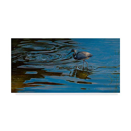 Trademark Fine Art Ripples in The Shallow by Michael Jackson, 12x24-Inch