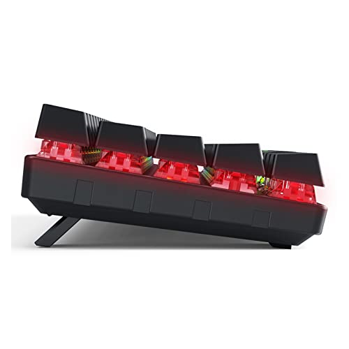 Mechanical Keyboard 61 Keys Mechanical Keyboard Hot Swappable Wired Dual Mode 60% Gaming Bluetooth Wireless Keyboard with Software (Size : Red Switch, Color : C)