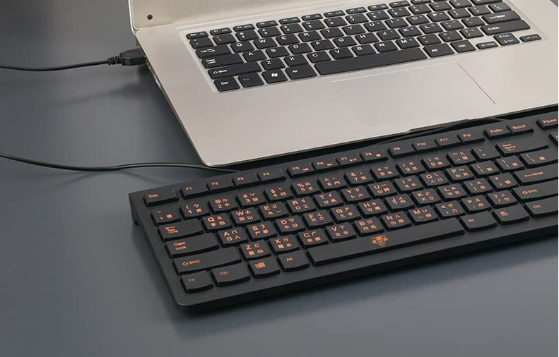 HYNAK Wired USB Keyboard, Gaming Keyboard Home Office, Work or Personal Computer Shortcuts for Notebook Computer, Chinese Beginners Computer, PC, Laptop, Black
