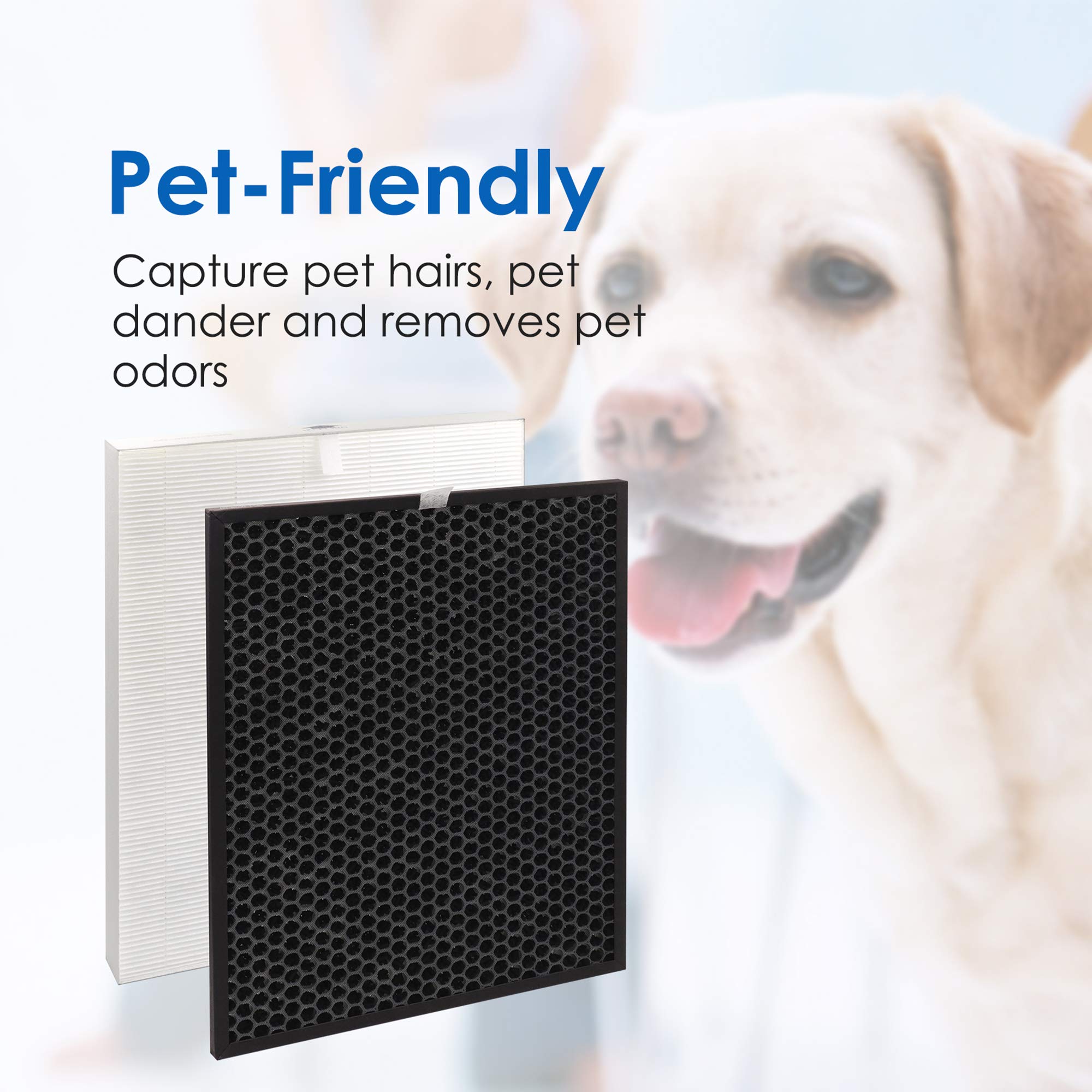 Flintar HR900 H13 True HEPA Replacement Filter T, Compatible with Winix HR900 Air Purifier, H13 Grade True HEPA and Activated Carbon Filter, Item Number 1712-0093-00, Filter T