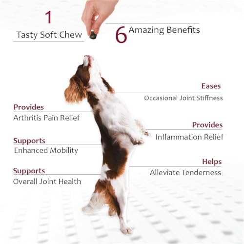 PHS Joint MAX Triple Strength (TS) Soft Chews for Dogs - Glucosamine, Chondroitin, MSM, Turmeric, Omega 3 - Hip and Joint Pain Relief and Support for Dogs - Made in USA - 30 Soft Chews