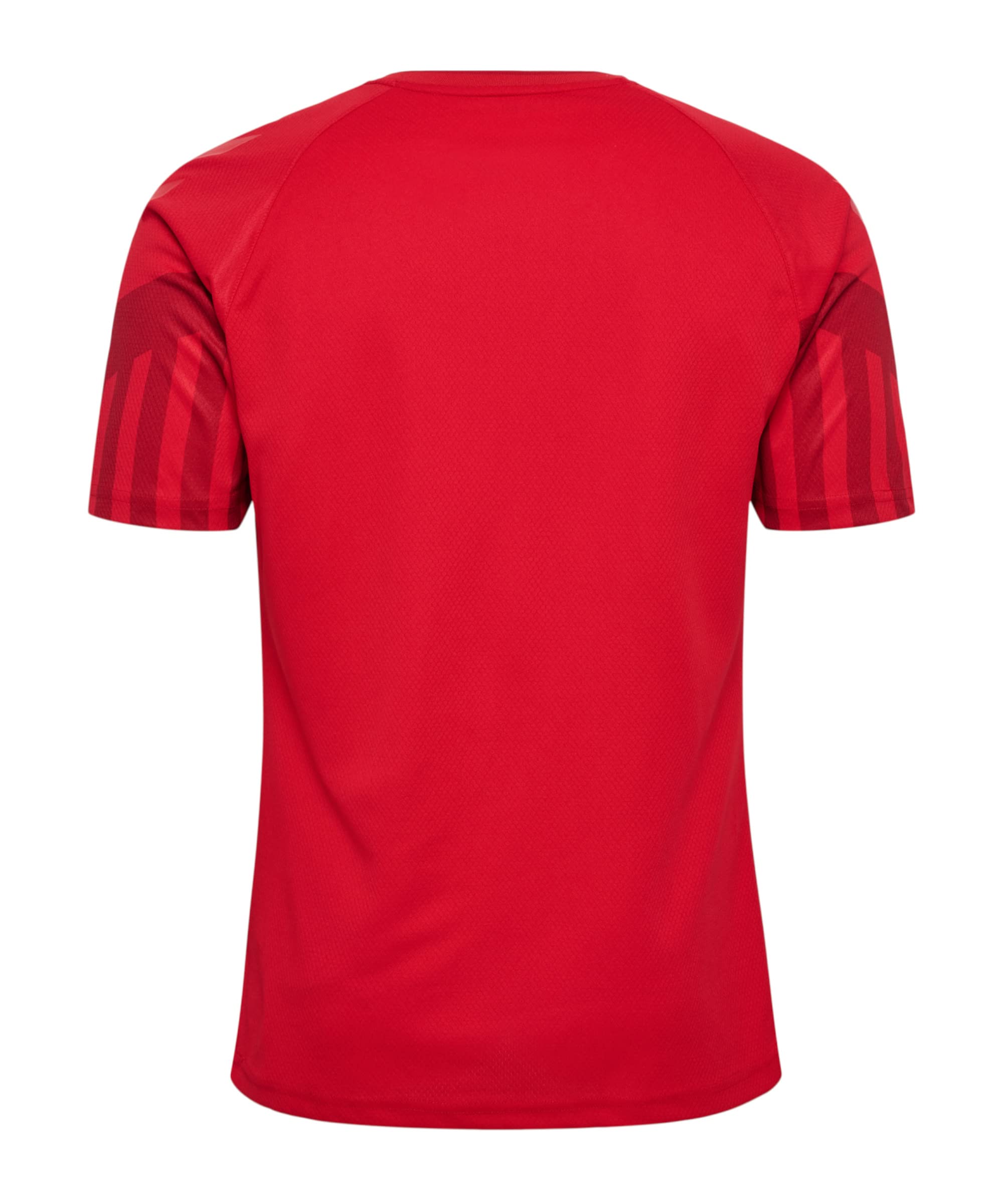 Hummel Men's Denmark Home Jersey (as1, Alpha, l, Regular, Regular, Large)