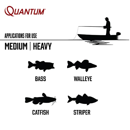 Quantum Accurist Baitcast Fishing Reel, Size 100 Reel, Right-Hand Retrieve, Oversized Non-Slip Handle Knobs and Continuous Anti-Reverse Clutch, One-Piece Aluminum Frame, 7.0:1 Gear Ratio, Green