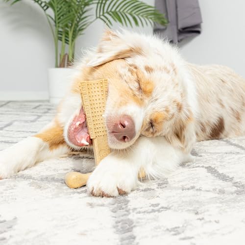 SPOT Bam-Bones Plus T Bone - Bamboo Fiber & Nylon, Durable Long Lasting Dog Chew for Aggressive Chewers – Great Toy for Adult Dogs & Teething Puppies Under 90lbs, Non-Splintering, 7in Chicken Flavor