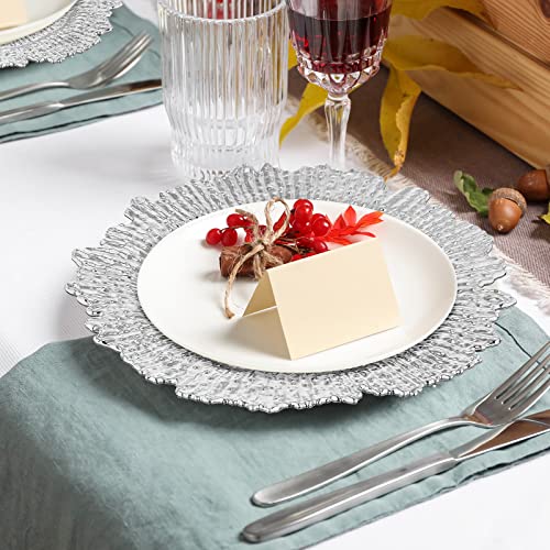 Mimorou 18 Pack Reef Charger Plates Plastic Snowflake Charger Plates Wedding Floral Charger Plates Decor for Christmas Dinner Wedding Party Event Supplies, 13 Inch (Silver)