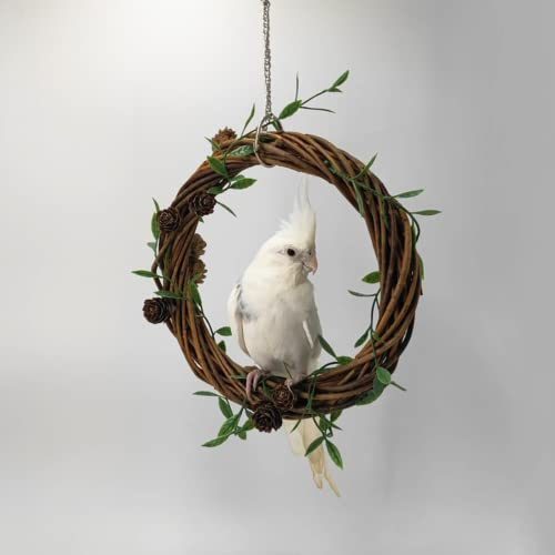 Round Bird Swing, Natural Willow Branch Chewing Bird Toys, Hanging Climbing Cage Parrot Perch Play Stands for Small Parrots Lovebirds Conures Parakeets (Large)