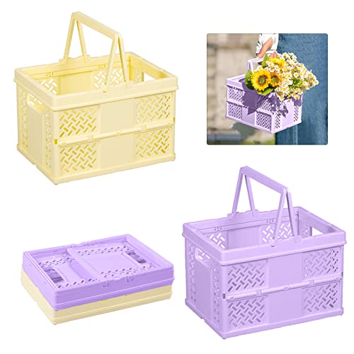 DI QIU REN 2 Pack Pastel Crates for Storage, Plastic Stackable Crates Small Baskets with Handles, Cute Mini Crates for Home Kitchen Desktop Shelf Office Organizing and Decoration(7.3x5.3x4.9)