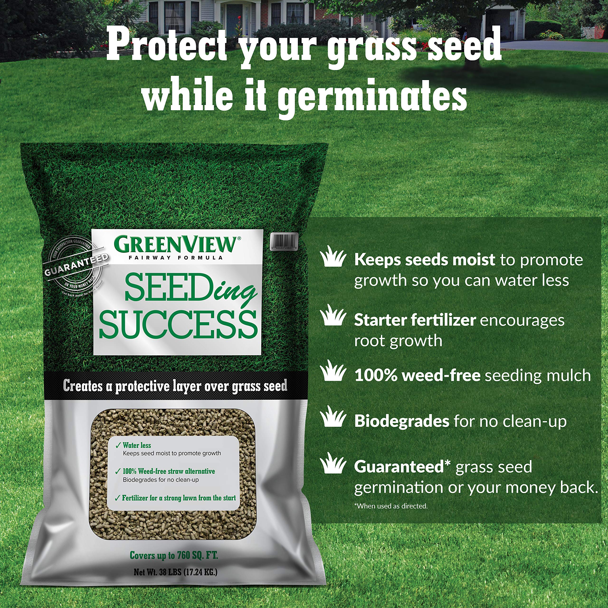 GreenView Fairway Formula Grass Seed Perennial Ryegrass Blend - 20 lb. Bag