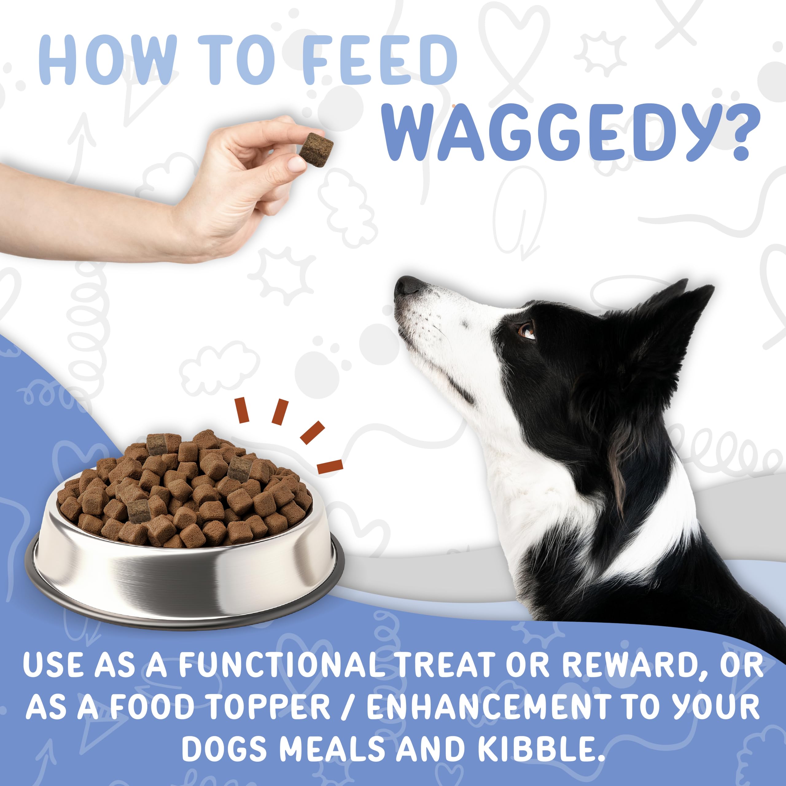 waggedy Great Start Puppy Bundle Multivitamin & Calm Aid – Large or Small Breed Puppy Supplement: Stress, Anxiety, Joint, & Immune System Support (One to Two Month Supply) 120 Puppy Treats