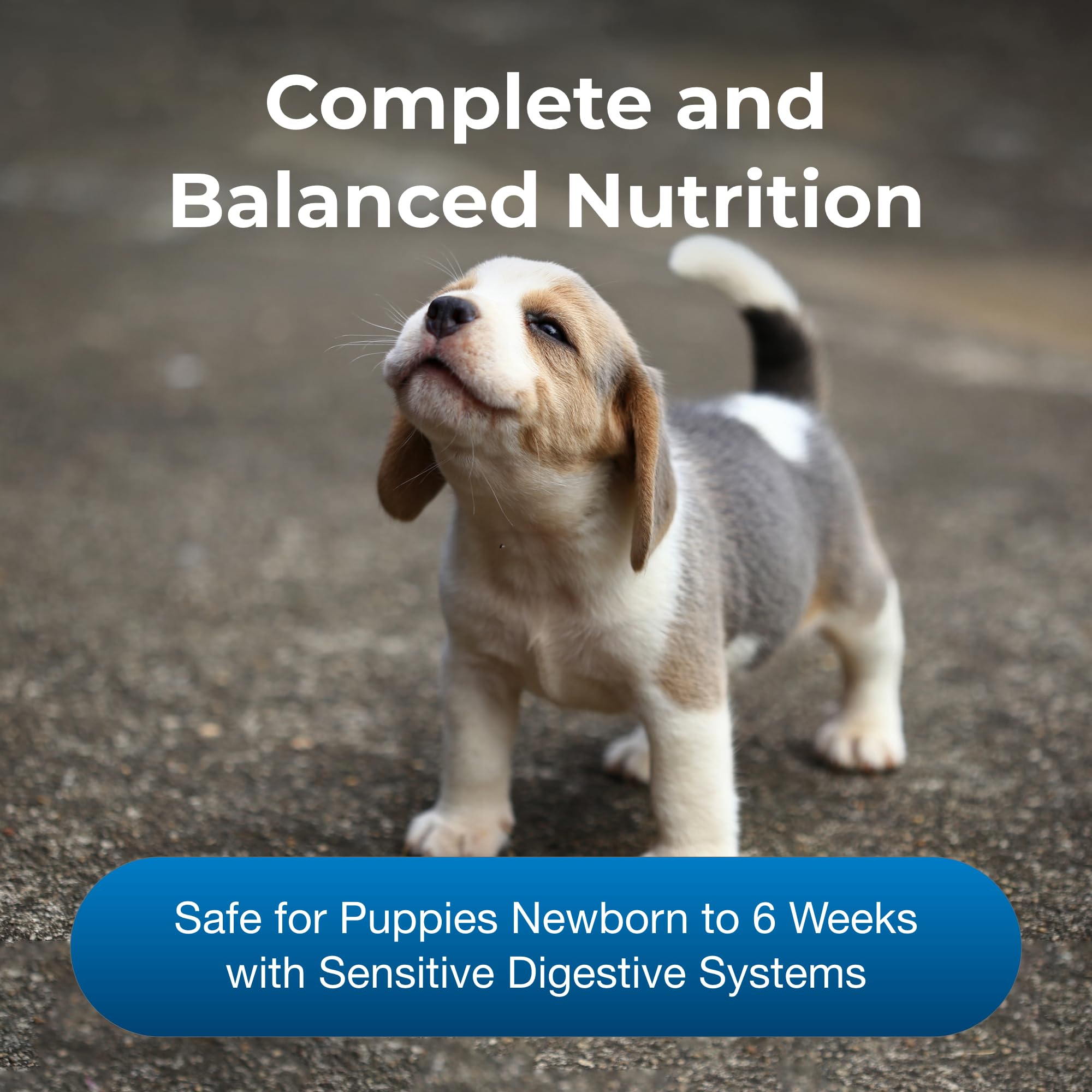 Pet-Ag Goat’s Milk Esbilac Powder - 12 oz, Pack of 2 - Powdered Puppy Formula with Prebiotics, Probiotics & Vitamins for Puppies Newborn to Six Weeks Old - for Sensitive Digestive Systems
