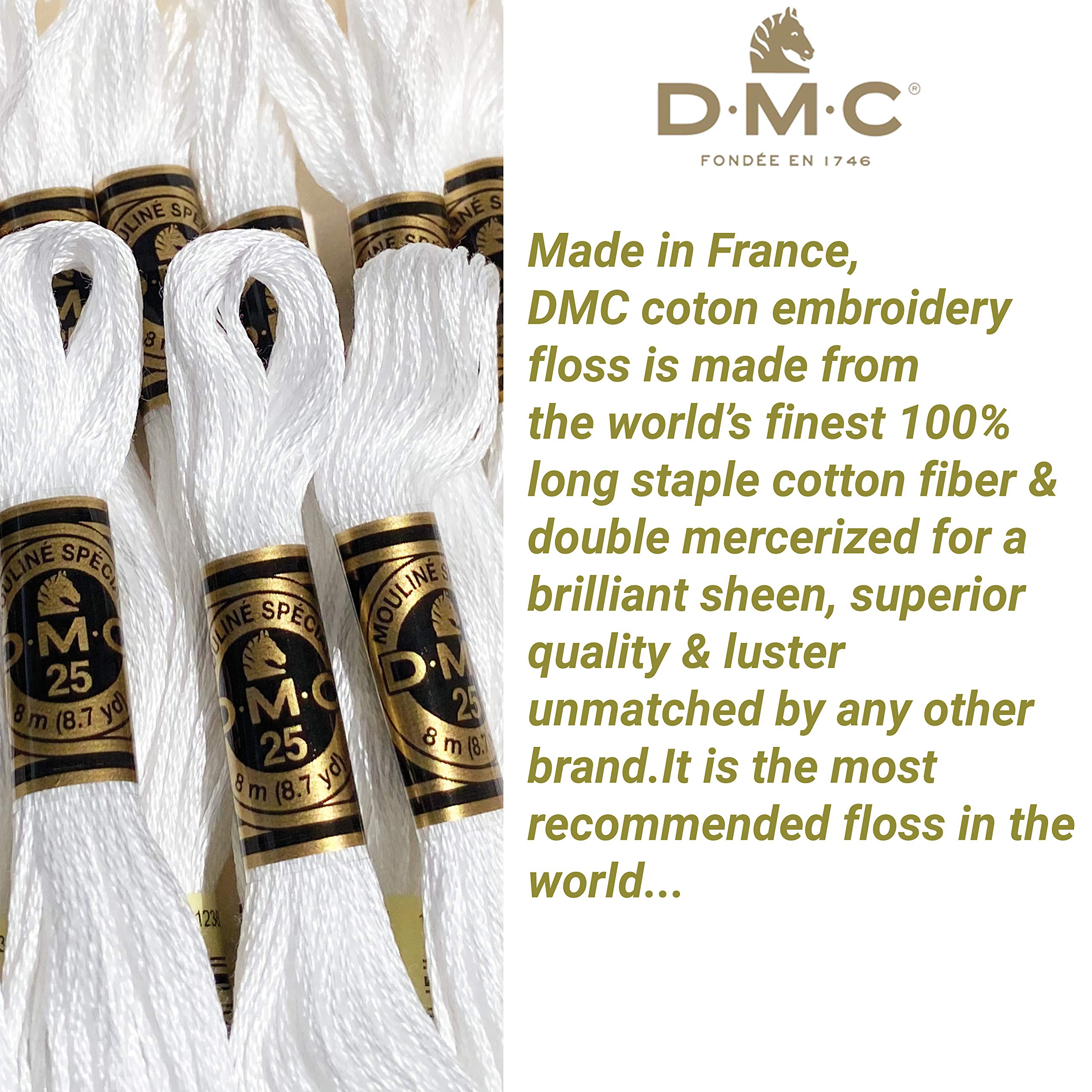 DMC White Embroidery Floss Kit, 6 Strand 117- Blanc CottonThread 12/ Pack Bundle with 1Skein of Each DMC Ecru/Snow White and DMC Cross Stitch Needles.Premium String/Yarn.Friendship Bracelet Supplies