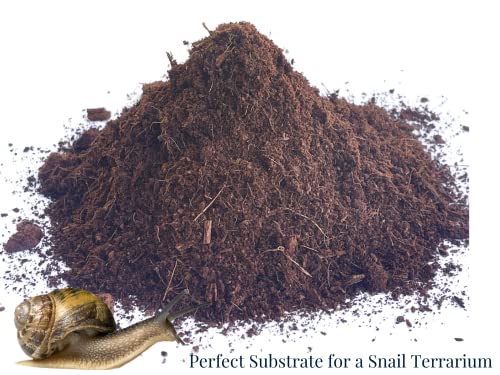 Snout and Shell Organic Coco Coir Peat Bedding Ready to Hydrate Use Substrate for Reptile or Amphibian Perfect for Frogs, Salamanders, Geckos and Snakes Increase Humidity 1.4 Lbs - 650 Grams