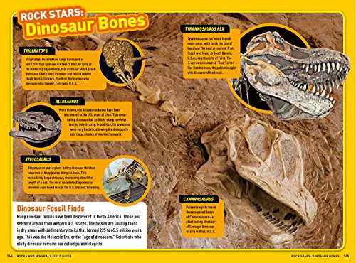 Ultimate Explorer Field Guide: Rocks and Minerals