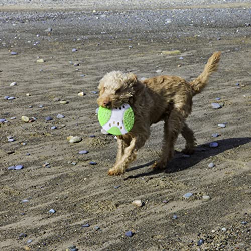 Rosewood Throw-n-Go Dental Saucer Dog Toy, 23 cm/9-Inch