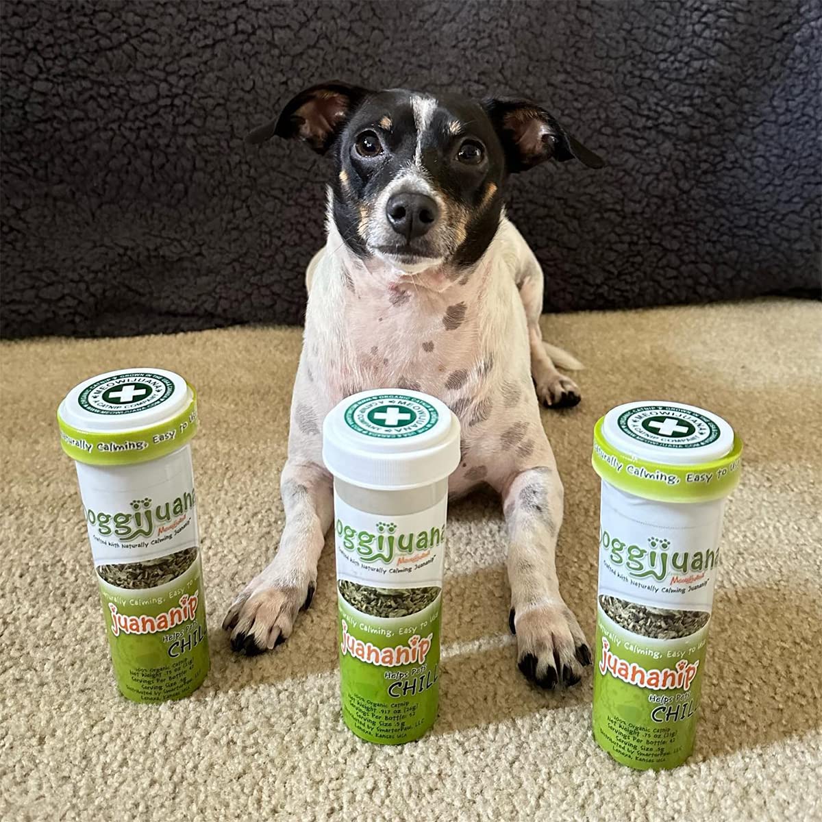 Doggijuana | Juananip⢠Refill | Premium Organic Ground Catnip for Dogs | All Natural | Grown in The USA (Juananip 2 Pack)