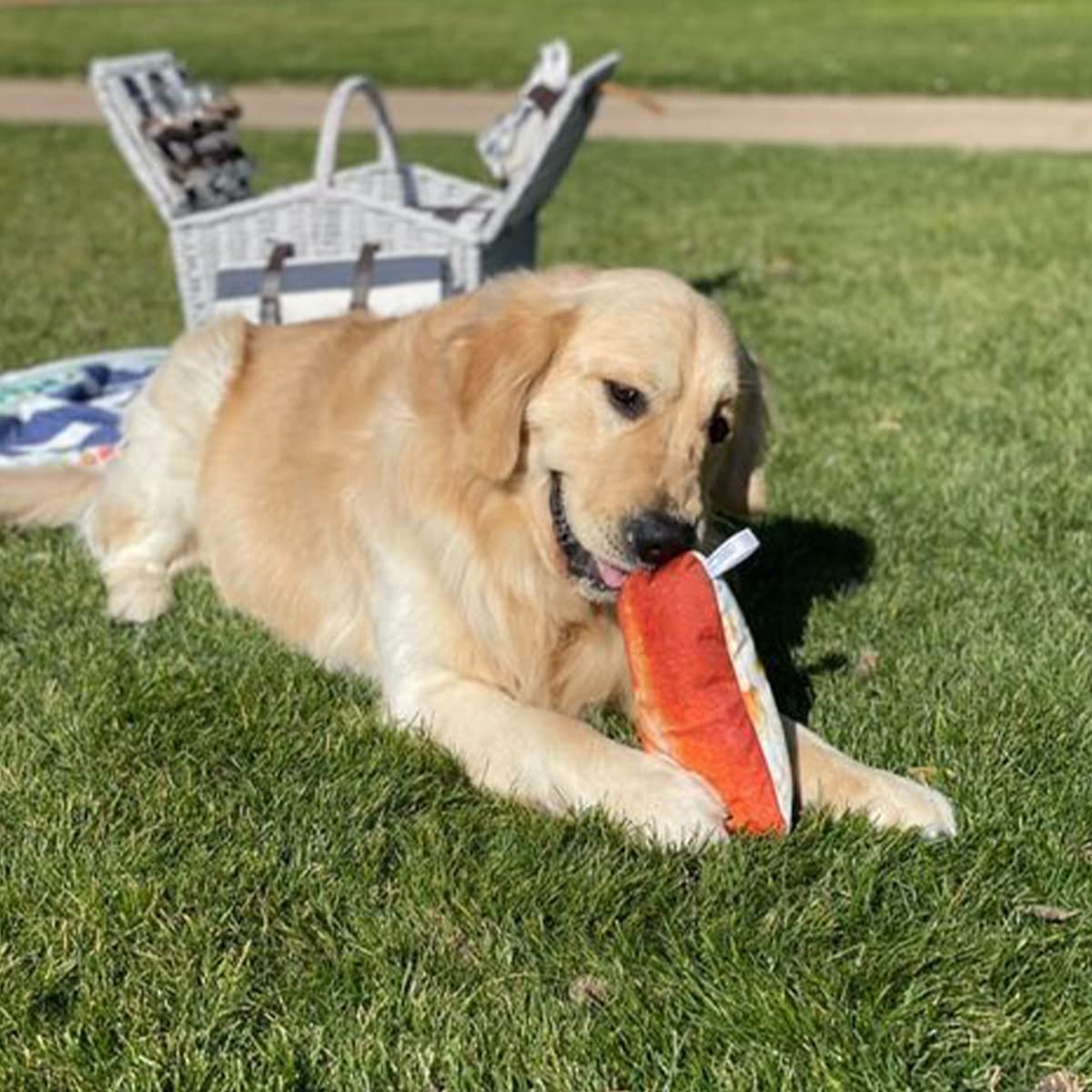 Doggijuana | Refillable Catnip Dog Toy | Naturally Calming | Catnip Grown in The USA (Hot Dog)