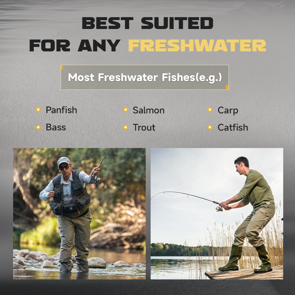 Divmystery Spinning Reel with Light & Tough Graphite Body and Rotor - Standard Series, 9+1 BB, 6.2:1 High-Speed Gear Ratio - CNC Aluminum Spool & Handle Fishing Reels for Freshwater