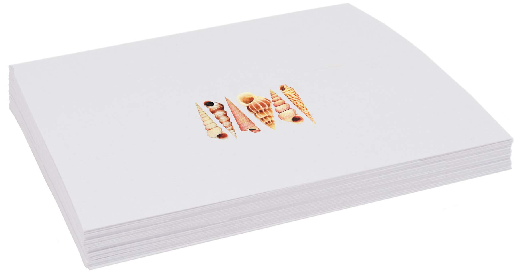 Seashell Pattern Place Cards, Set of 25, Pre-cut and Scored - Wedding, Party, Dinner, and Special Events - Made in the USA