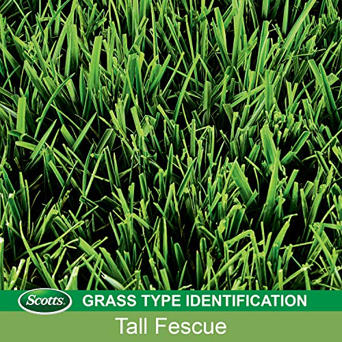 Scotts EZ Seed Dog Spot Repair Tall Fescue Lawns - 2 lb., Combination Mulch, Seed and Soil Amendment Includes Protectant and Tackifier, Neutralizes and Repairs up to 100 Dog Spots