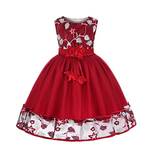 Dinosaur Toddler Dress Kids Girls Patterns Sleeveless Party Hoilday Weddings Elegant Lace Tulle Clothes (Red, 2-3 Years)