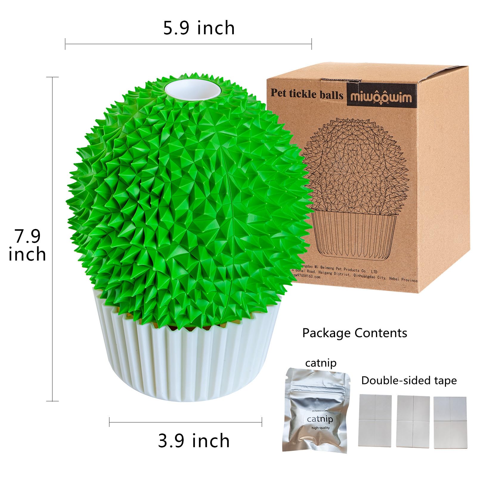 Miwoowim Catnip Feeder - Cat Face Scratcher Wall Corner Massage Comb for Indoor Cats Self Grooming Brush (Green)