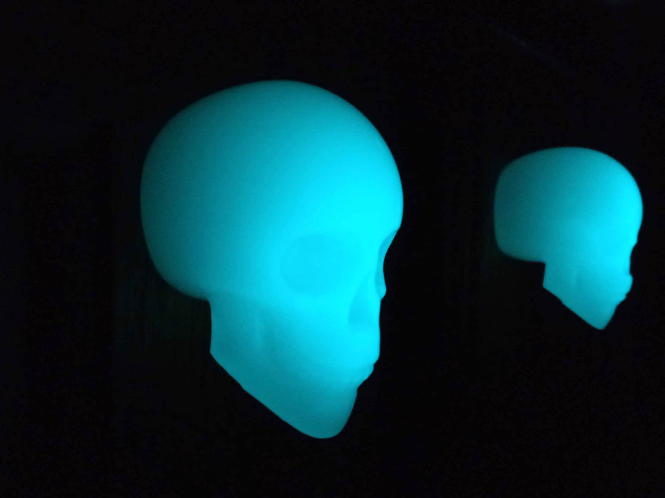 Glow in the Dark Skull Door Knobs Drawer Knobs (Set of 2)